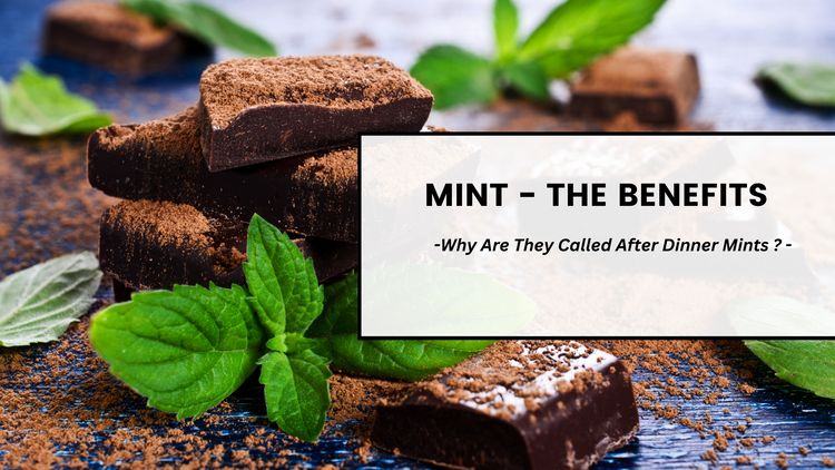 The Marvels of Mint: Benefits and the Tradition of After-Dinner Mints ...
